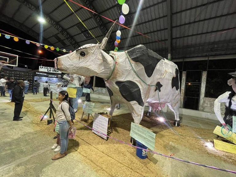 Creatividad y Tradición Brillan en el Festival de Monigotes 2024 en ...
