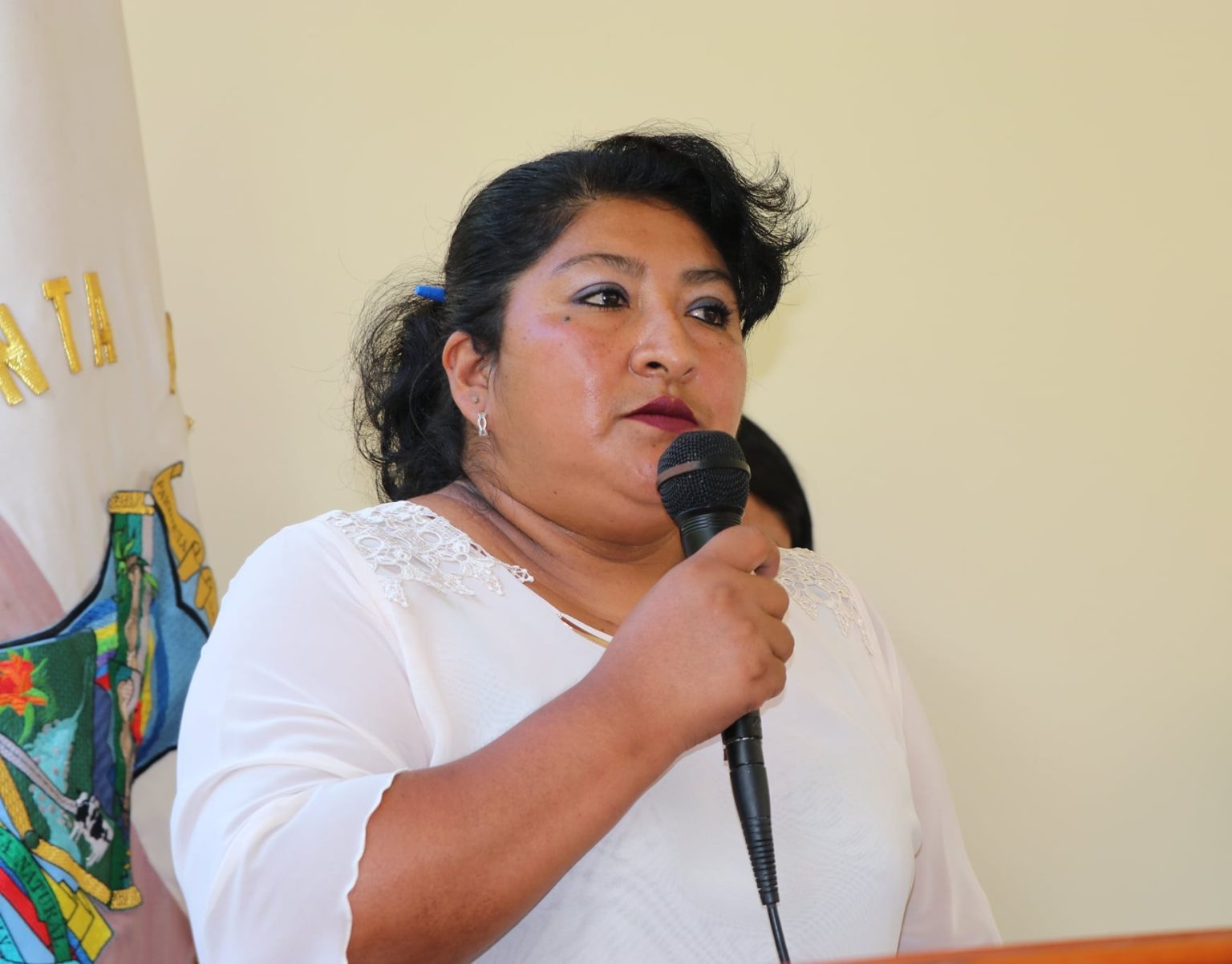 ANGELICA TOCTO – PANORAMA INFORMATIVO